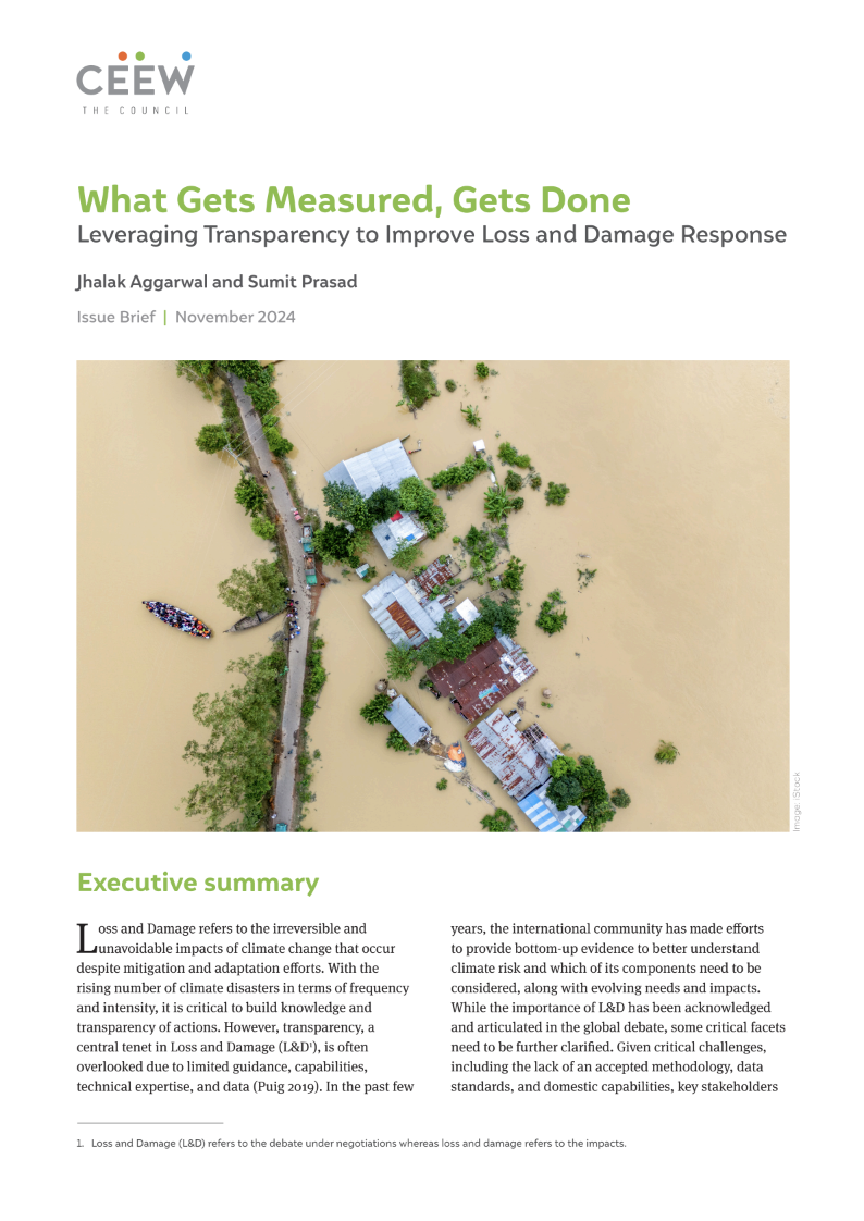 How can Climate Transparency Address Climate Change Loss & Damage?